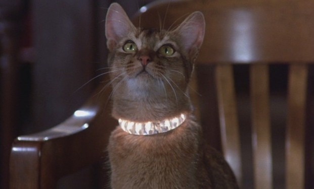 Le creature aliene più bizzarre del cinema | FareFilm.it